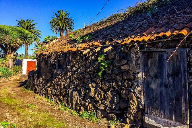 Tenerife North Private Tour: Through Villages and Ports - Who Should Consider This Tour?