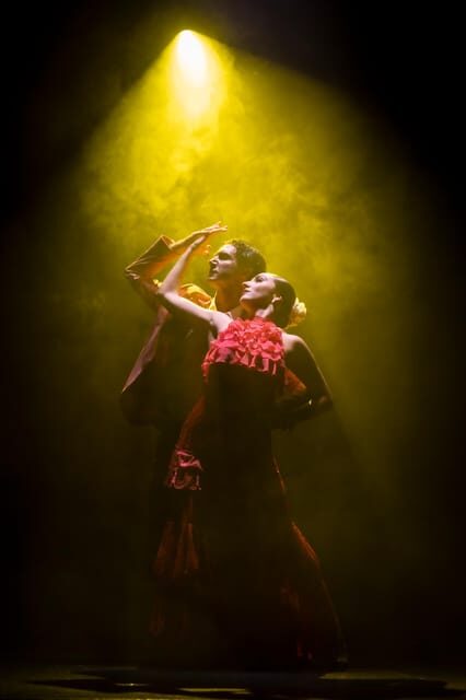 Tenerife : Olé Flamenco Show by Fran Chafino Ticket - Introducing the Olé Flamenco Show by Fran Chafino