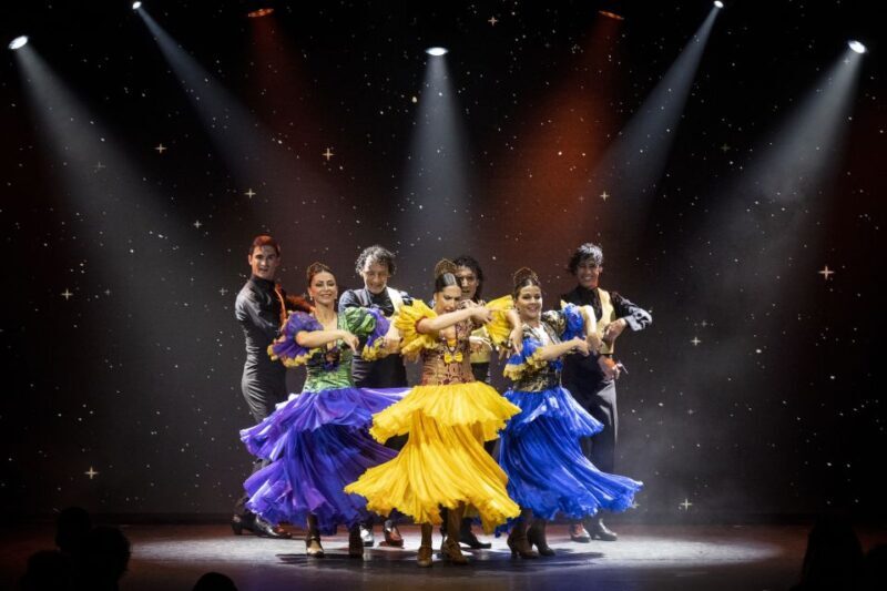 Tenerife : Olé Flamenco Show by Fran Chafino Ticket - Who Will Love This Show?