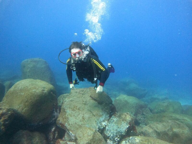 Tenerife: PADI Beginner Scuba Dive in the Turtle Area - An Honest Look at the Experience