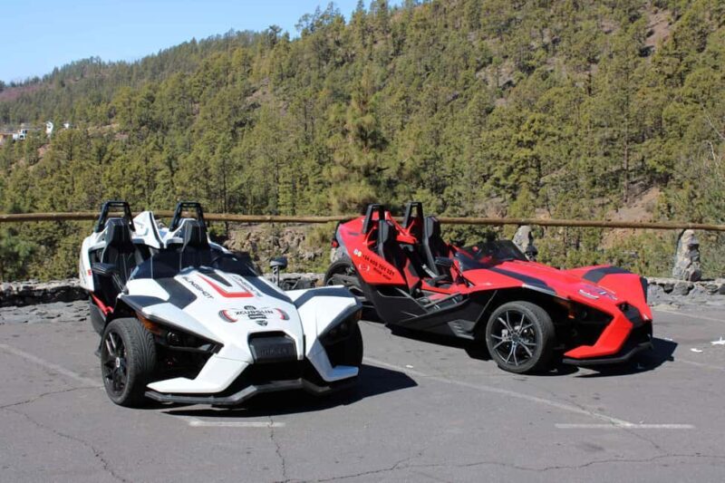 Tenerife: Pino Gordo Self-Drive Slingshot Tour - The Experience: What You Can Expect from Start to Finish