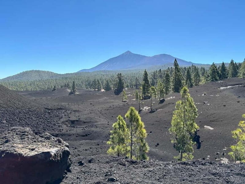 Tenerife: premium e-bike ride at Chineyro volcanic area - Who Will Love This Tour?