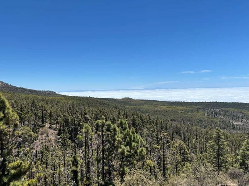 Tenerife: premium e-bike ride at Vilaflor- Lunar Landscape - The Route and Stops: What You’ll Experience