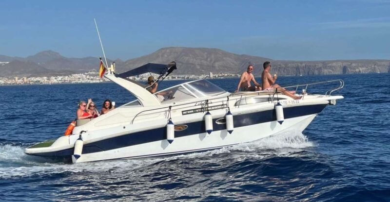 Tenerife: Private Boat Charter with Tapas & Drinks - Practical Details and Considerations
