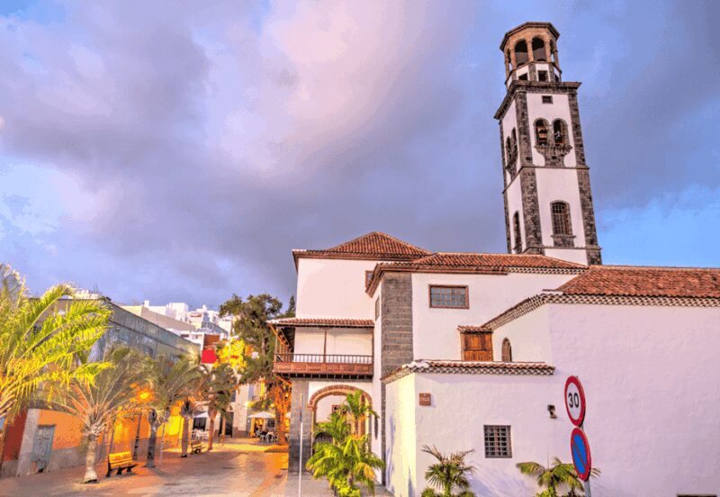 Tenerife: Private Day Tour of the Island with Hotel Pickup - Who Is This Tour Best For?