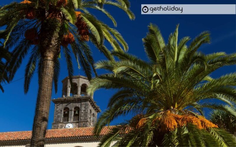 Tenerife: Private Day Trip with Hotel Pickup and Drop-off - An Introduction to a Personalized Tenerife Experience