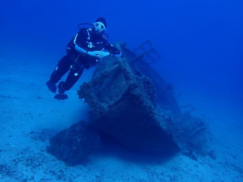 Tenerife : Private Dive for Beginners from a Boat - Exploring Tenerife’s Private Dive for Beginners from a Boat: A Practical Review