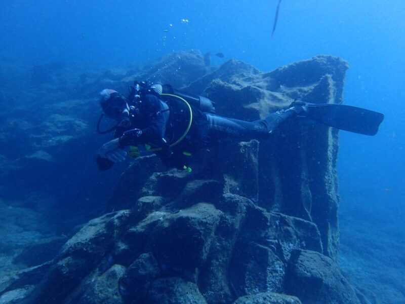 Tenerife : Private Dive for Beginners from a Boat - Final Thoughts