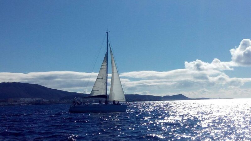 Tenerife: Private or Group 3 Hour Sailing Cruise with Drinks - Final Thoughts: Is It Worth It?