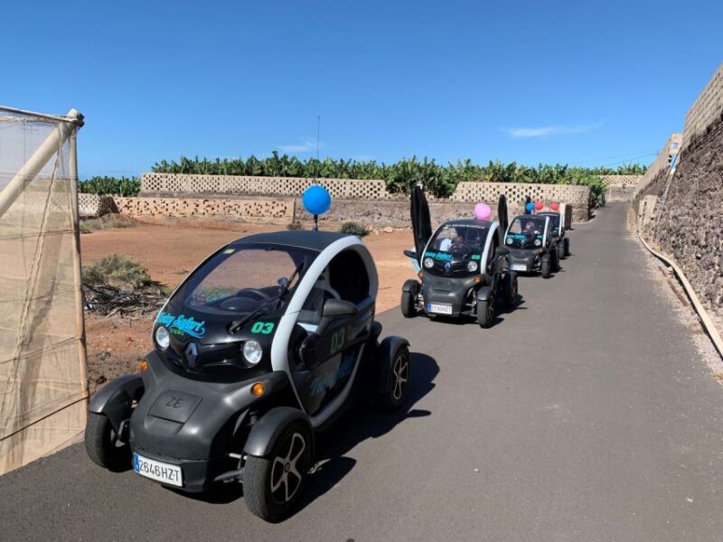 Tenerife: Private Renault Twizy Tour - Why This Tour Offers Good Value