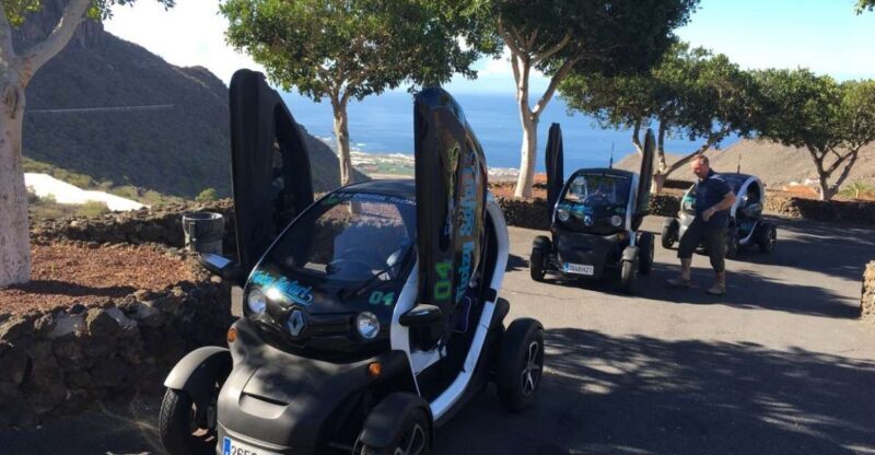 Tenerife: Private Renault Twizy Tour - Who Will Love This Tour?