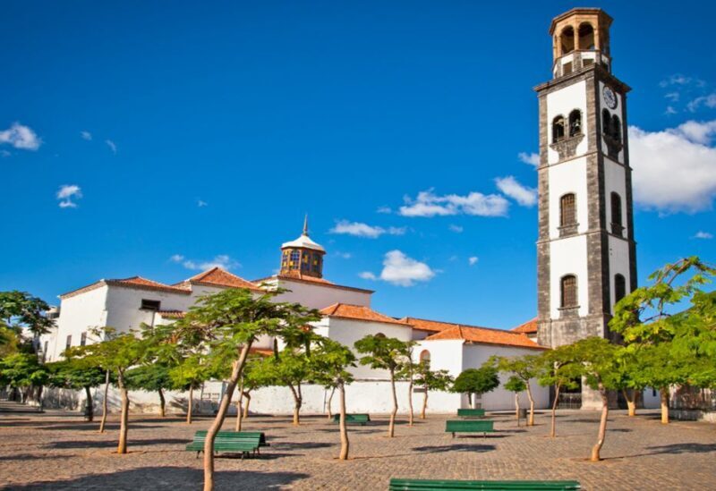 Tenerife: Private Taganana and Anaga Day Trip with Pickup - Transportation and Group Dynamics