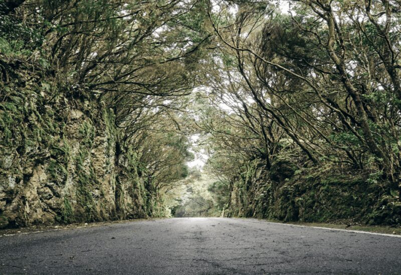 Tenerife: Private Taganana and Anaga Day Trip with Pickup - The Value and Experience
