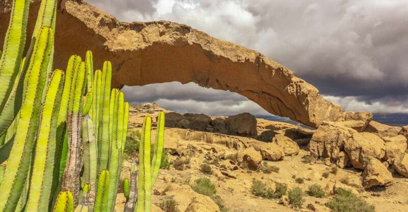 Tenerife Private Tour: Full-Day Volcanic South - Key Points