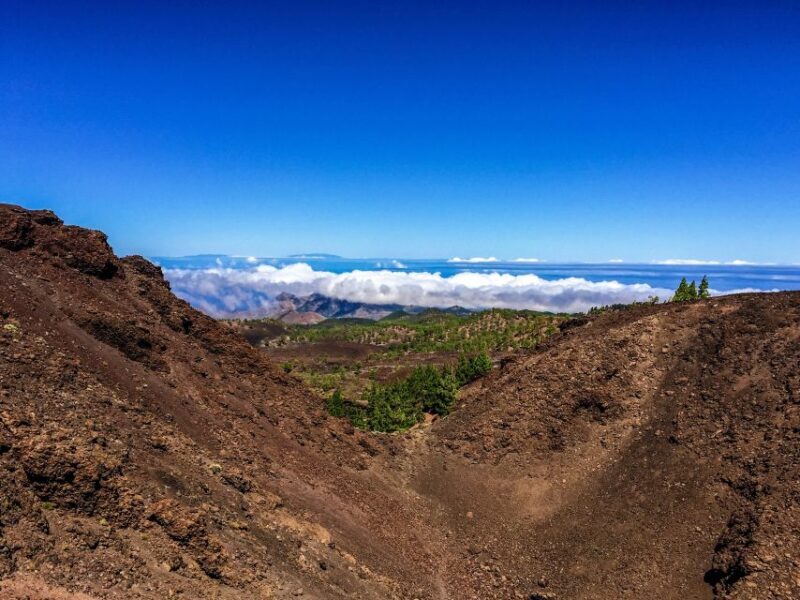Tenerife Private Tour: Full-Day Volcanic South - Introduction: Why This Tour Might Be Just Right for You