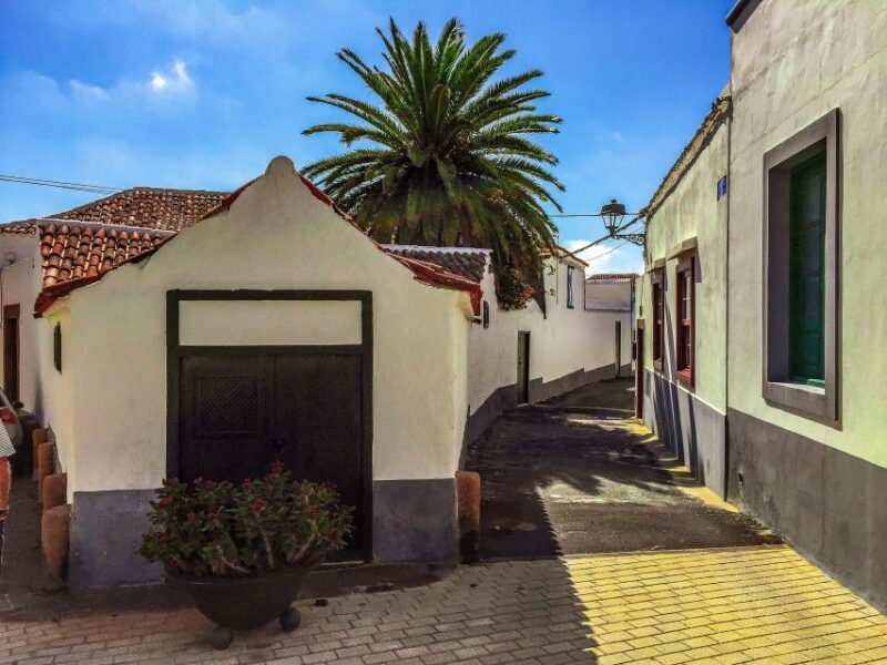 Tenerife Private Tour: Full-Day Volcanic South - Final Thoughts