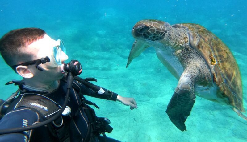 Tenerife: Puerto Colon Discover Scuba Diving Trip - Key Points
