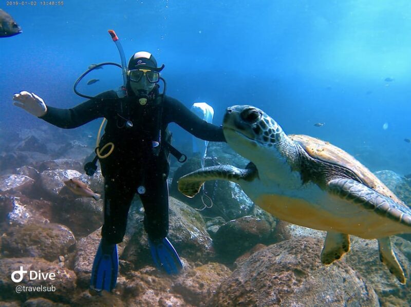 Tenerife: Puerto Colon Discover Scuba Diving Trip - What’s Included and What to Bring