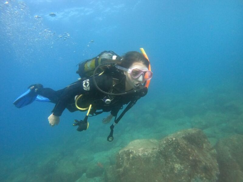 Tenerife: Puerto Colon Discover Scuba Diving Trip - Final Thoughts