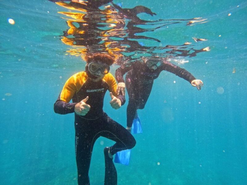 Tenerife: Puerto Colon Snorkel Safari by Speed Boat - Key Points
