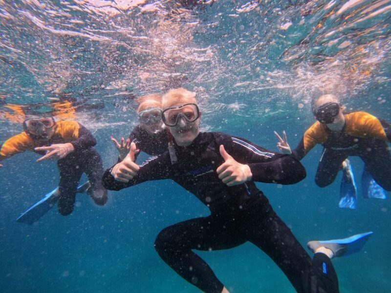 Tenerife: Puerto Colon Snorkel Safari by Speed Boat - The Experience in Detail