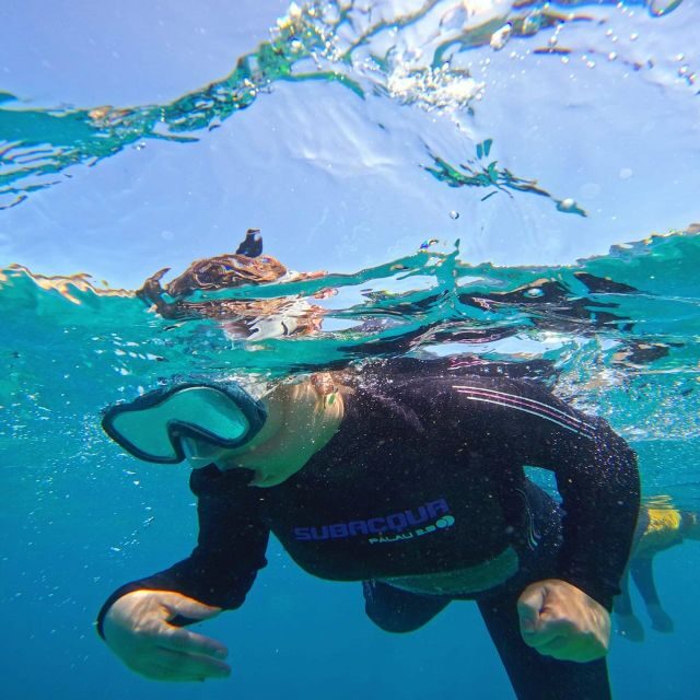 Tenerife: Puerto Colon Snorkel Safari by Speed Boat - FAQs