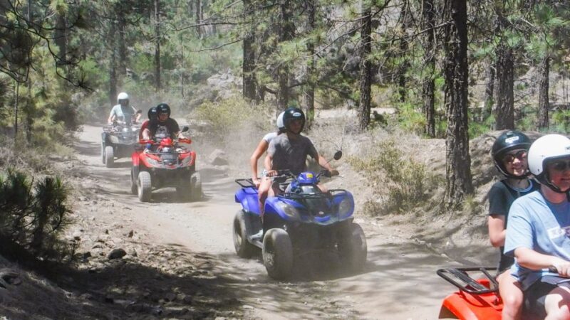 Tenerife: Quad Adventure Tour in Teide National Park - Final Thoughts