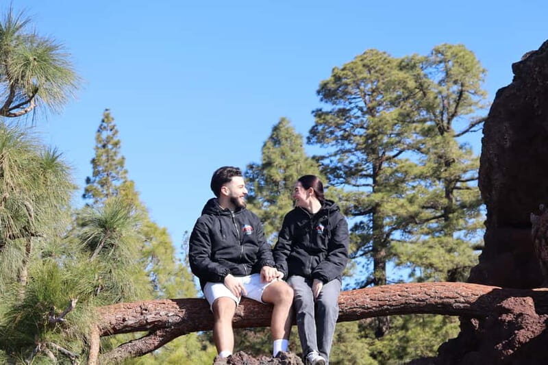 Tenerife: Quad Day Trip Teide National Park - Who Should Consider This Tour?