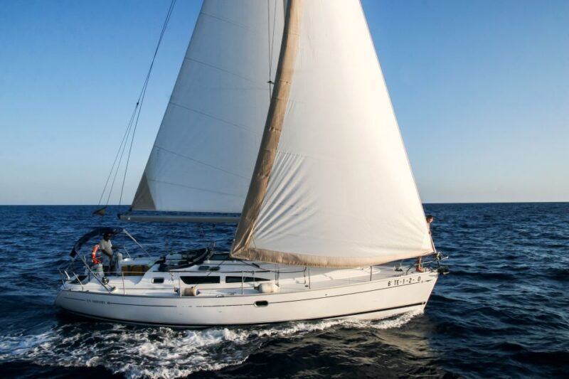 Tenerife: Sailboat Tour Whale Watching Food and Snorkeling - Overview and What to Expect