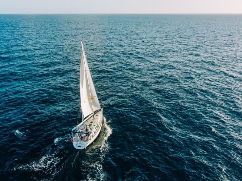 Tenerife: Sailboat Tour Whale Watching Food and Snorkeling - Wildlife Encounters and Authentic Experiences