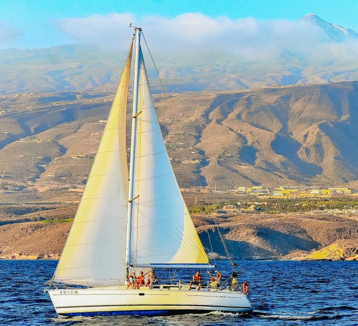 Tenerife: Sailboat Tour Whale Watching Food and Snorkeling - The Balance of Value and Experience
