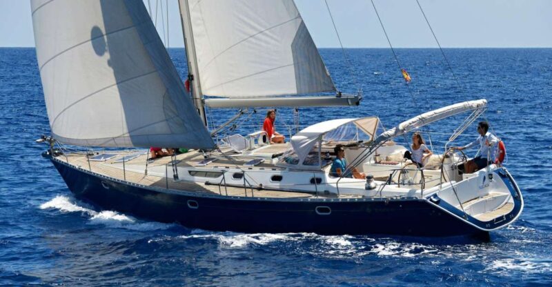 Tenerife: Sailing Excursion with Whale and Dolphin Watching - Key Points