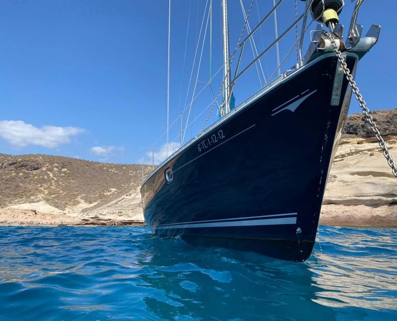 Tenerife: Sailing Excursion with Whale and Dolphin Watching - Final Thoughts: Who Will Love This Tour?