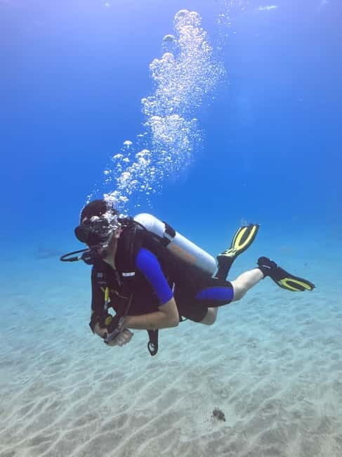 Tenerife: Scuba Dive & Fun, Discover the Magic of the Ocean - Authentic Experiences from Participants