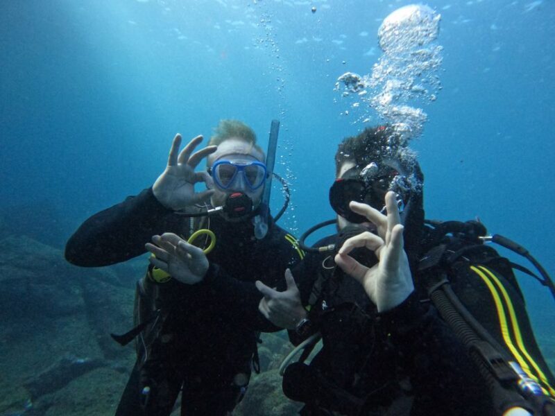 Tenerife: Scuba Diving for Certified Divers in Tenerife - Key Points
