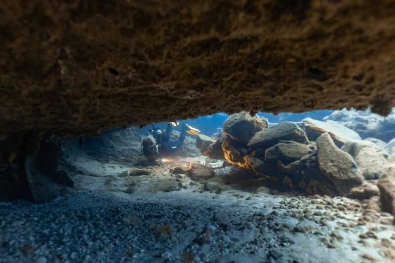 Tenerife: Scuba Diving for Certified Divers in Tenerife - Who is This Tour Best For?