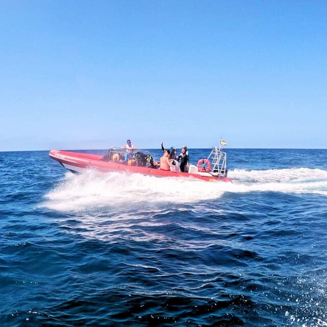 Tenerife: Scuba Diving for Certified Divers in Tenerife - Final Thoughts: Is It Worth It?