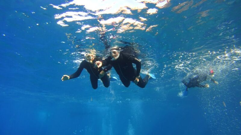 Tenerife: Snorkel with Turtles - FAQ: Your Tenerife Snorkel with Turtles Questions Answered