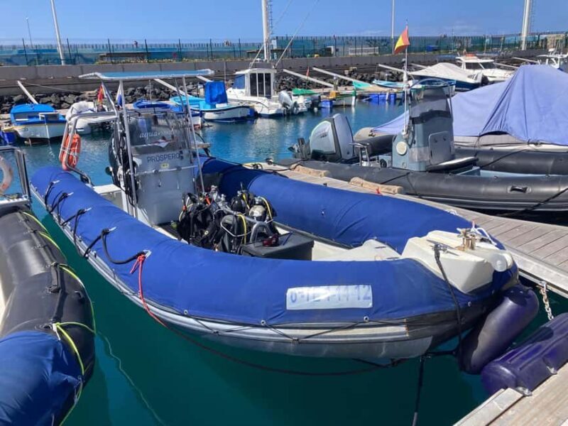 Tenerife: Snorkeling to look for Turtles and Rays - Itinerary and Timing