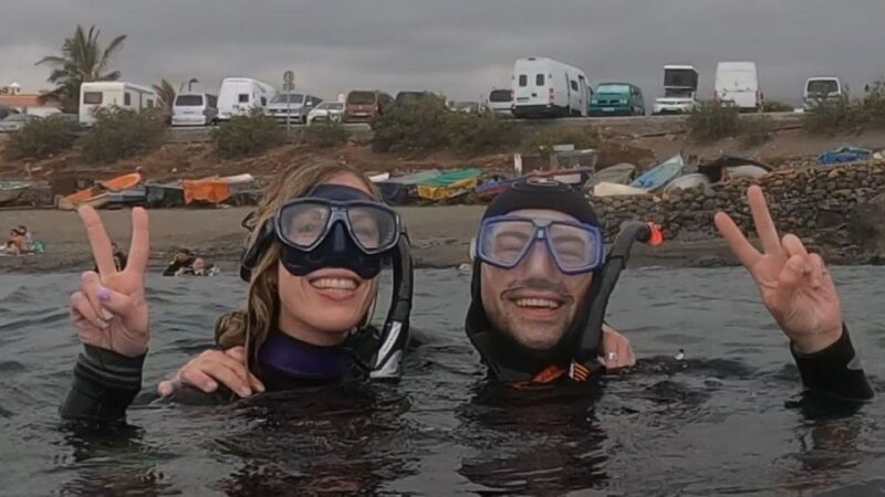 Tenerife: Snorkeling Tour in a Marine Protected Area - Key Points