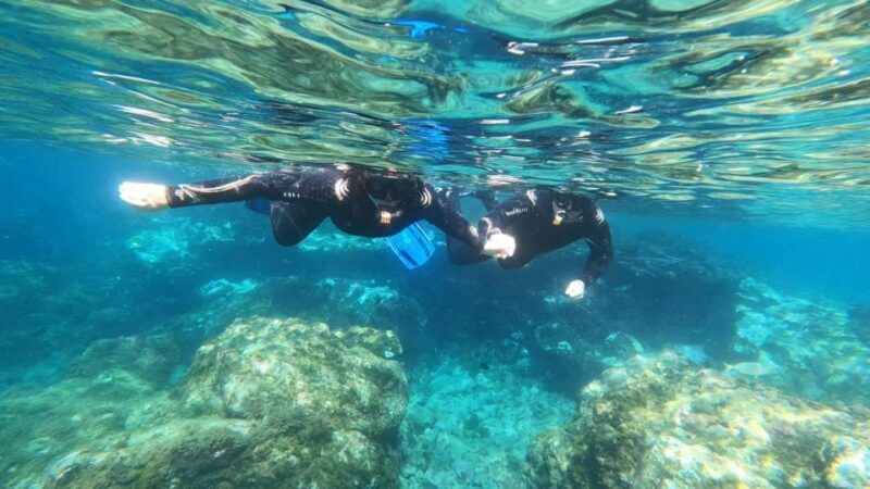 Tenerife: Snorkeling Tour in a Marine Protected Area - A Detailed Look at the Snorkeling Experience in Tenerife