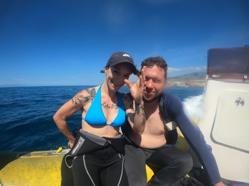 Tenerife: Snorkeling Trip in a Turtle Habitat - Authentic Guest Perspectives
