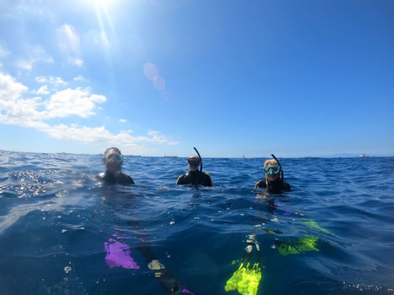 Tenerife: Snorkeling Trip in a Turtle Habitat - FAQ