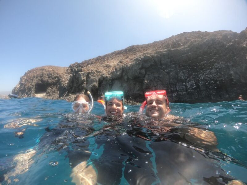 Tenerife: Snorkeling Trip in a Turtle Habitat - The Sum Up: Who Will Love This Experience?