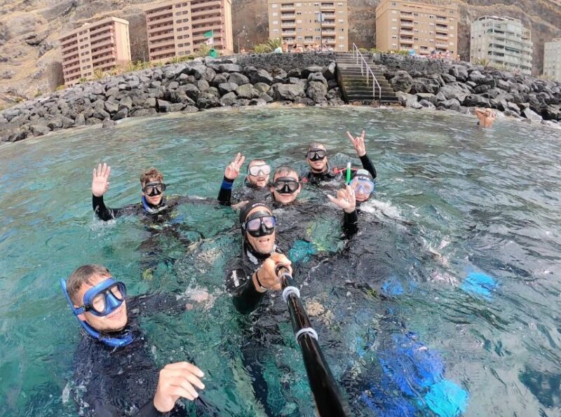 Tenerife : Snorkeling underwater with freediving Instructor - Key Points