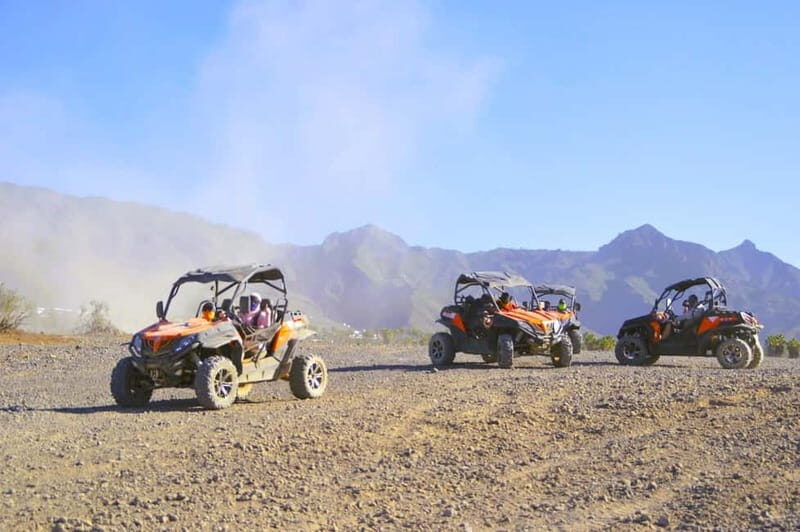 Tenerife: South Coast Buggy Tour with Off-Roading - Key Points