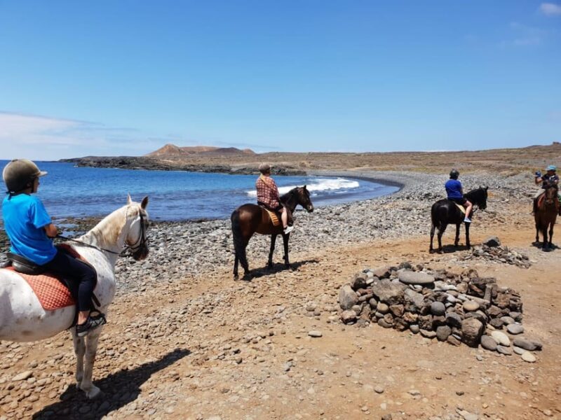 Tenerife South: Private Horseback Riding to the Coast - Key Points