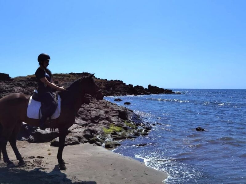 Tenerife South: Private Horseback Riding to the Coast - What to Expect from the Tour