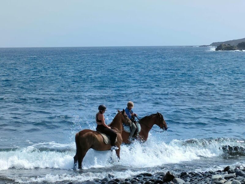 Tenerife South: Private Horseback Riding to the Coast - The Tour’s Value and Practicalities