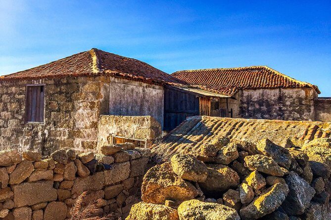 Tenerife South Private Tour: Secrets of the Volcanoes - Additional Practical Details